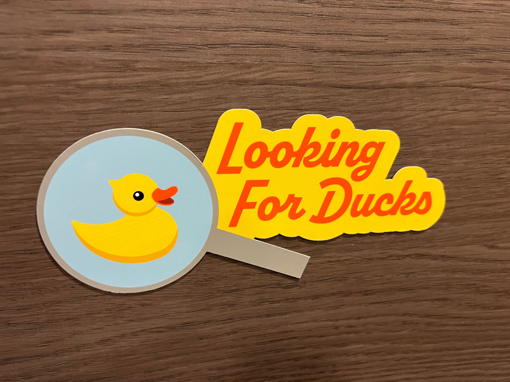 Cruise Door Magnet Pack – Views and Queues